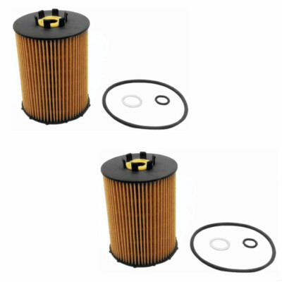 2x For BMW 550i 650i 750i 760i X5 Set of 2 Oil Filter Kits 11427542021 ...