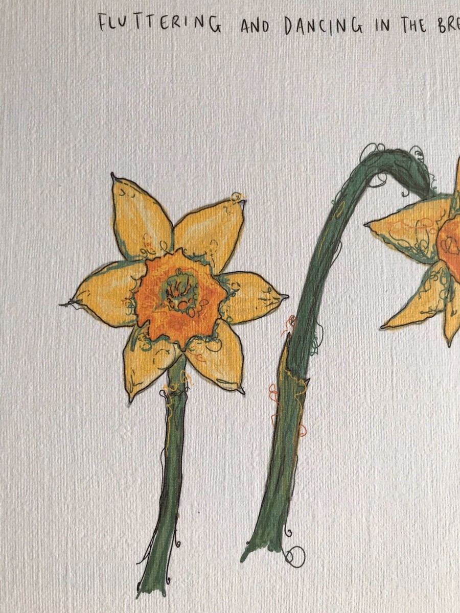 Daffodils By William Wordsworth Drawing Wordsworth, Letter Quoting