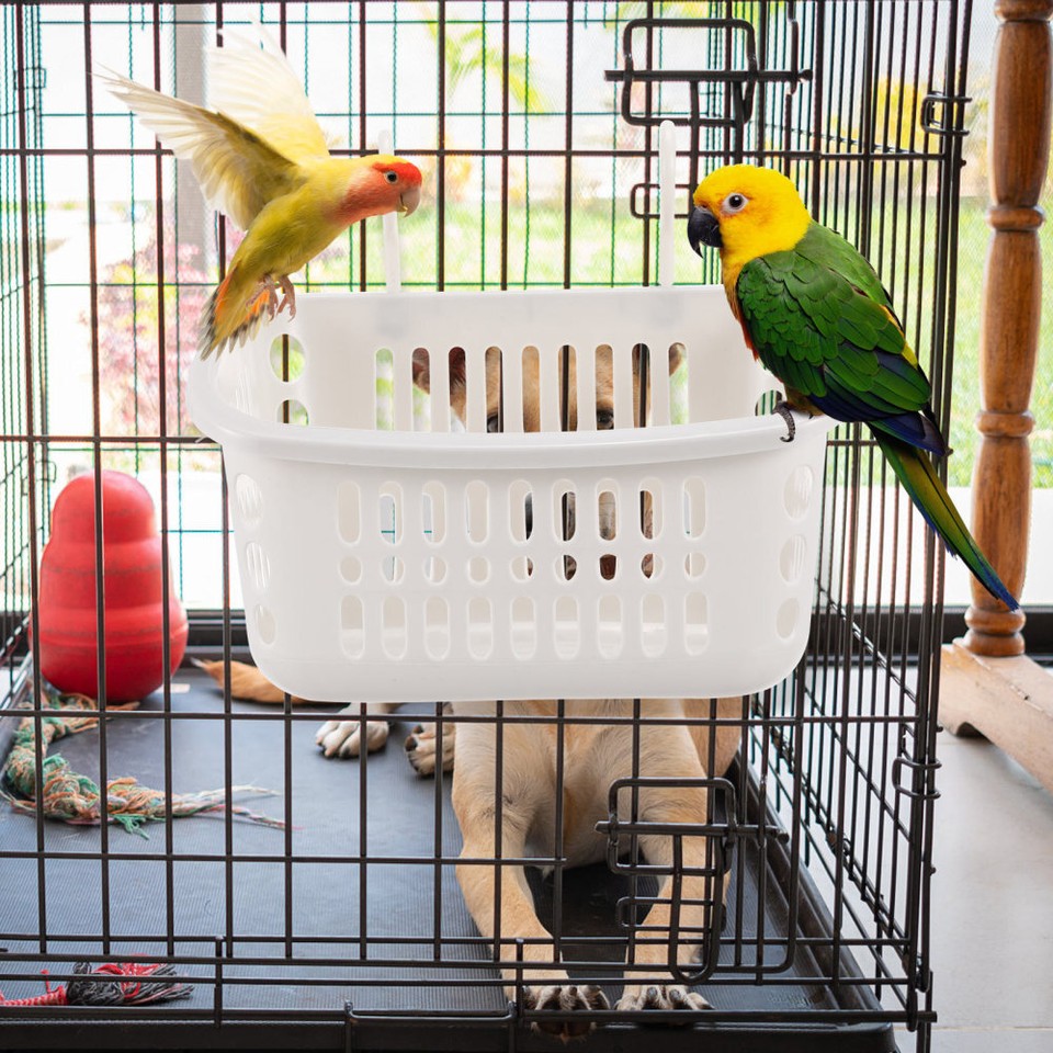 2 Pcs Hanging Rat Basket Basketsfor Cages Hamster Pet Decoration | eBay