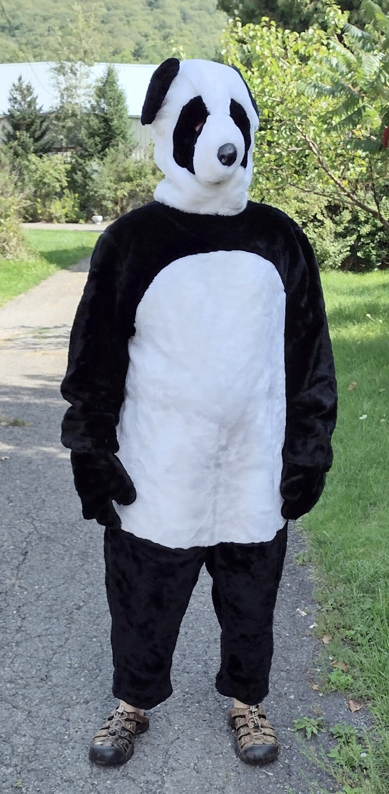Adult Panda Costume Furry Halloween Cosplay | eBay