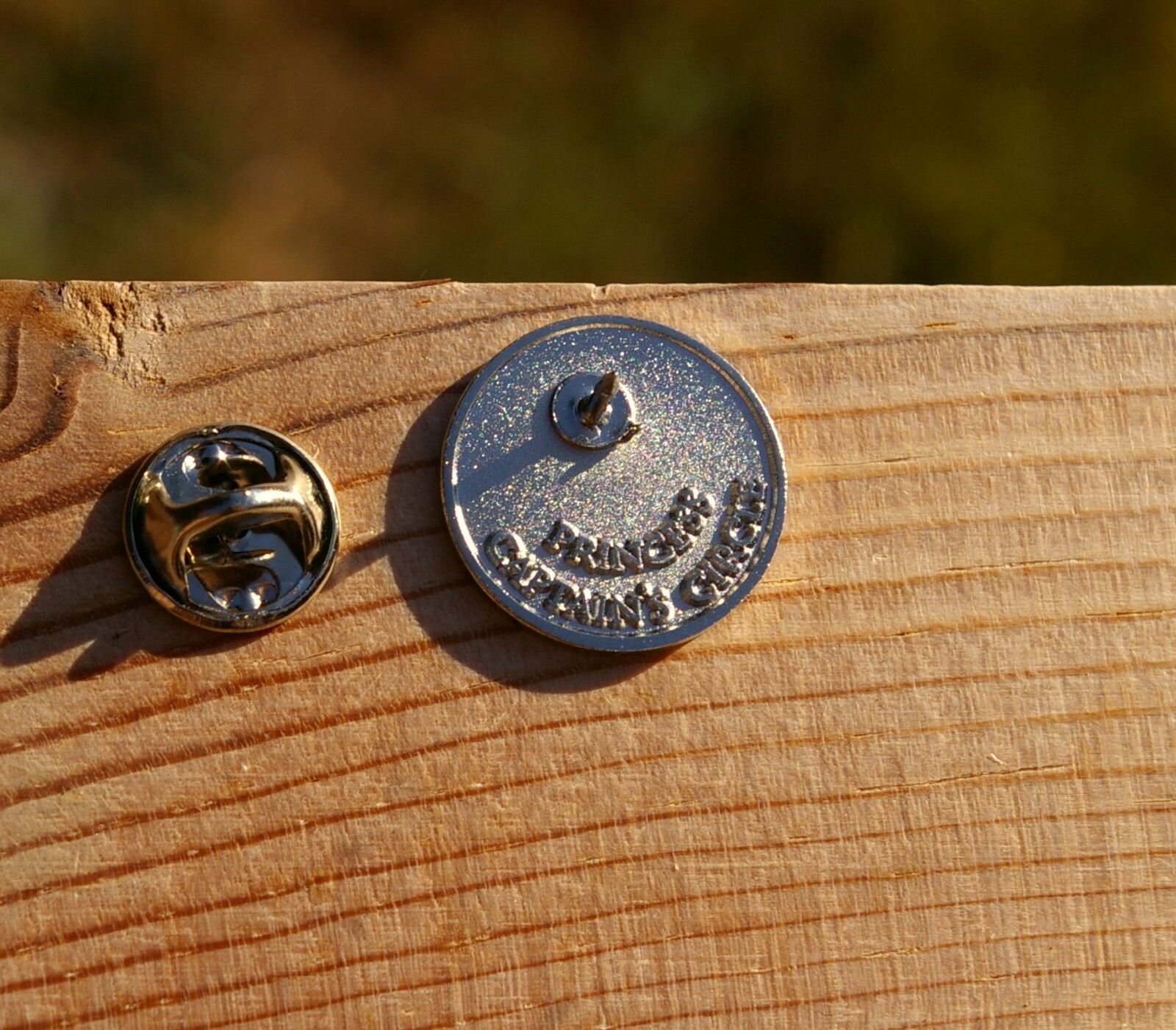 Princess Cruises Ship Captain's Circle 3/4" Silver Tone Metal Lapel Pin ...