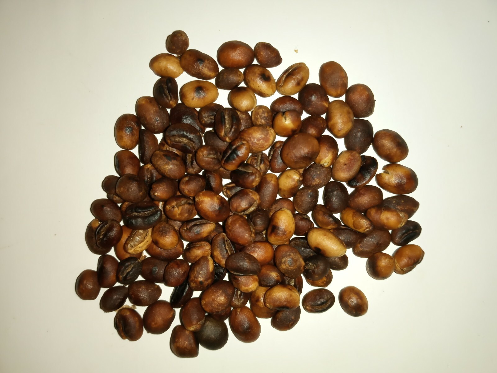 100% Ceylon Coffee bean super taste roasted homemade 1-1/2 pound (free ...