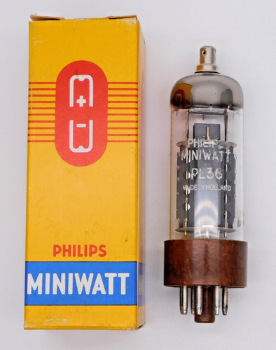 Philips Miniwatt Holland PL36 Valve Tube NOS Boxed (V20) | eBay