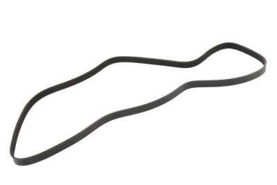 GM Genuine Parts 12626076 Serpentine Belt | eBay