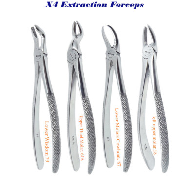 Extracting Roots Forceps Lower Wisdom Upper Third Molar Lower Molars ...