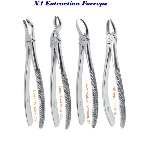 Extracting Roots Forceps Lower Wisdom Upper Third Molar Lower Molars ...