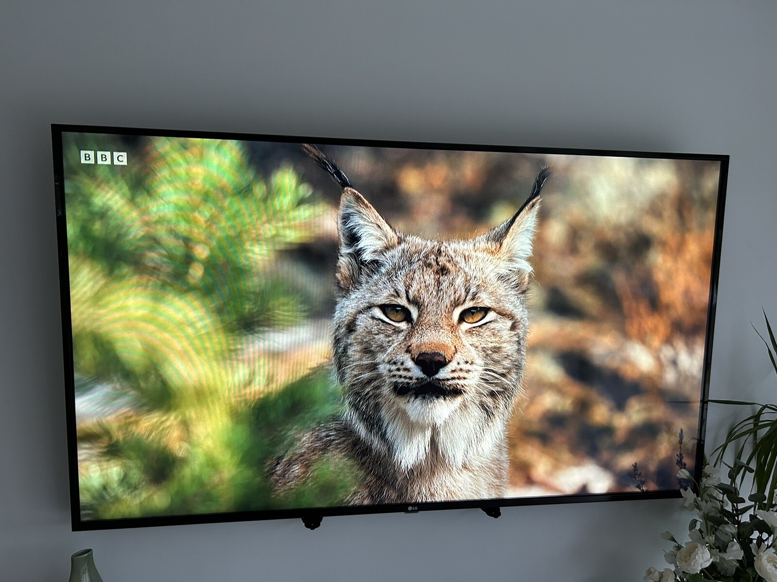 LG 65LX341C 65" 1080p LCD Smart TV for sale online | eBay