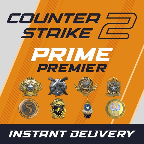 CS2 Account Steam | Prime & Premier | 8 Medals Badges | Instant ...