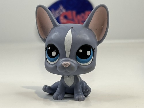 BUSTER BRINDLE FRENCH BULLDOG DOG #62 - Authentic Littlest Pet Shop ...