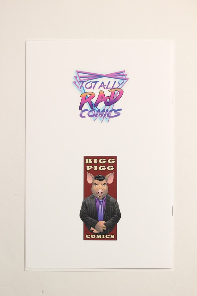 Bigg Pigg Origin Story LAOCH Vector Art • Sue Storm INVISIBLE WOMAN ...