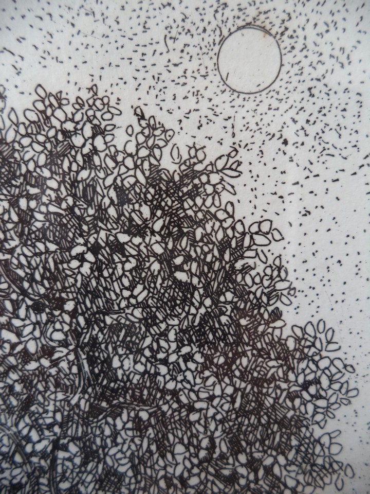 Ettore Fico quadro litografia incisione stampa firma 122/310 stamperia ...