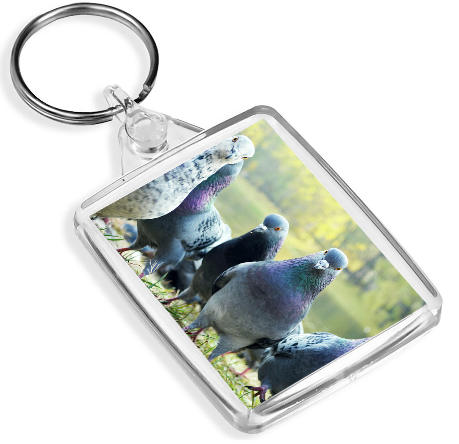 Flock Of Pigeons Homing Carrier Pigeon Keyring Fun Keyring Gift #15735 ...