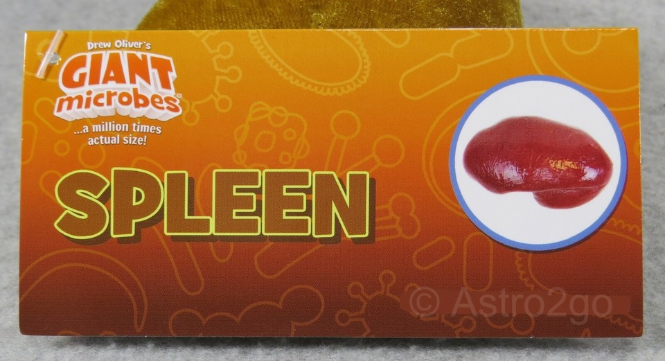 GIANT MICROBES-SPLEEN-Stuffed Plush Organ Lymph Immune System Biology ...