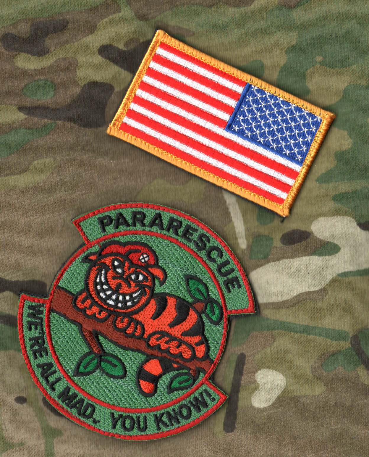 AFSOC EXPEDITION WING PJ PARARESCUE SSI: Cheshire Cat We're All Mad + R ...