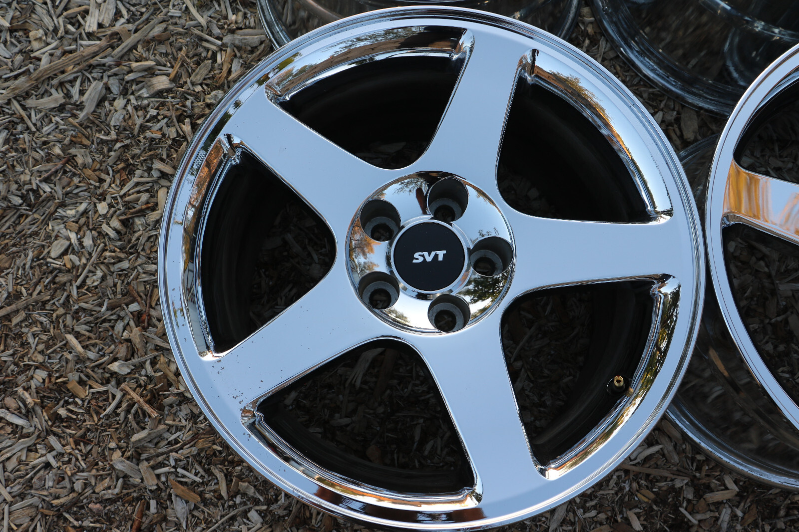 2003-2004 Ford Mustang Cobra SVT Wheels 17x9 5 Spoke Rims OEM | eBay