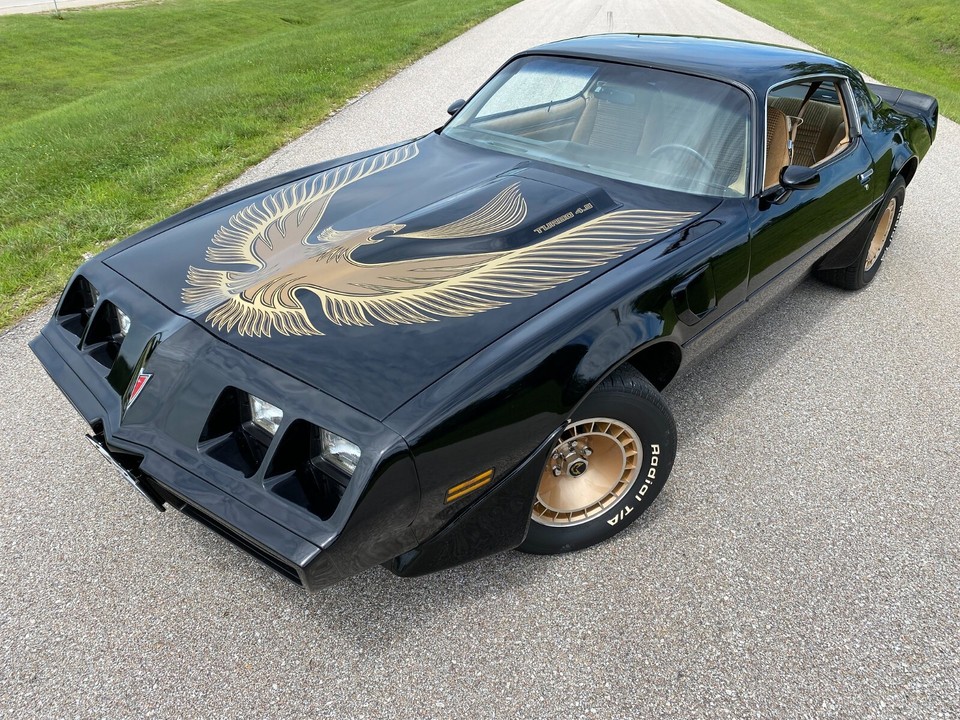 1981 Trans Am Turbo "Special Edition" Ultimate Decal & Premolded Stripe ...