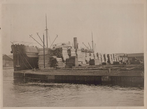WW1 British dock timber cargo ship unloading scene 1916 - Original ...