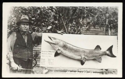 BAUDETTE MN Minnesota c1931 Minnesota State Record Muskie - Or Not! | eBay