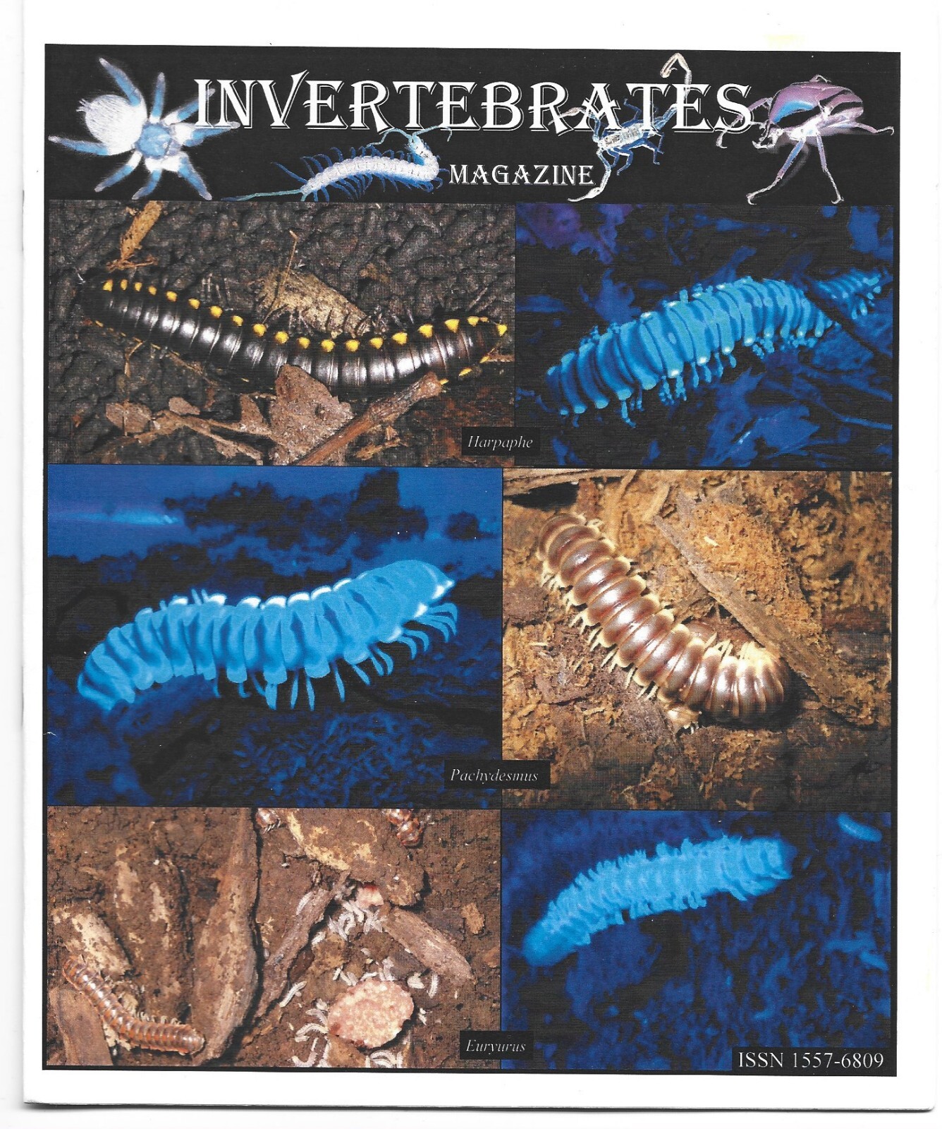 3 set invertebrates magazine ¡ ! sept 2008 sept 2010 dec 2010 ...