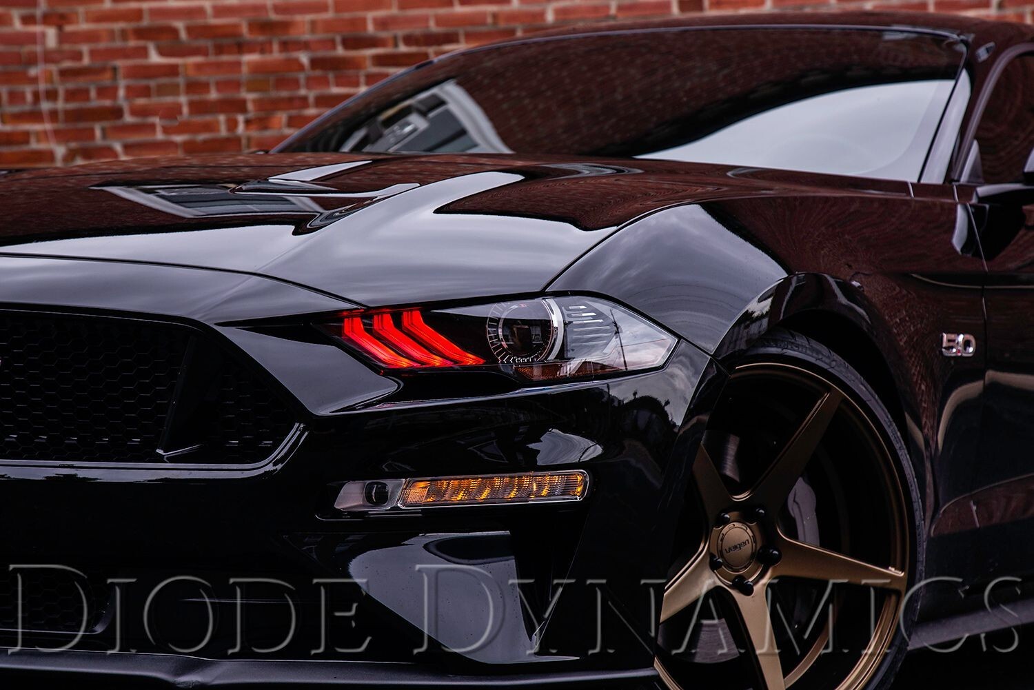 Diode Dynamics Multicolor DRL RGBW LED Boards For 2018-2023 Ford ...