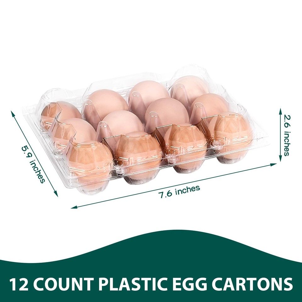 40 PCS Plastic Egg Carton 3x4 Grids, Clear Egg Container Commercial ...