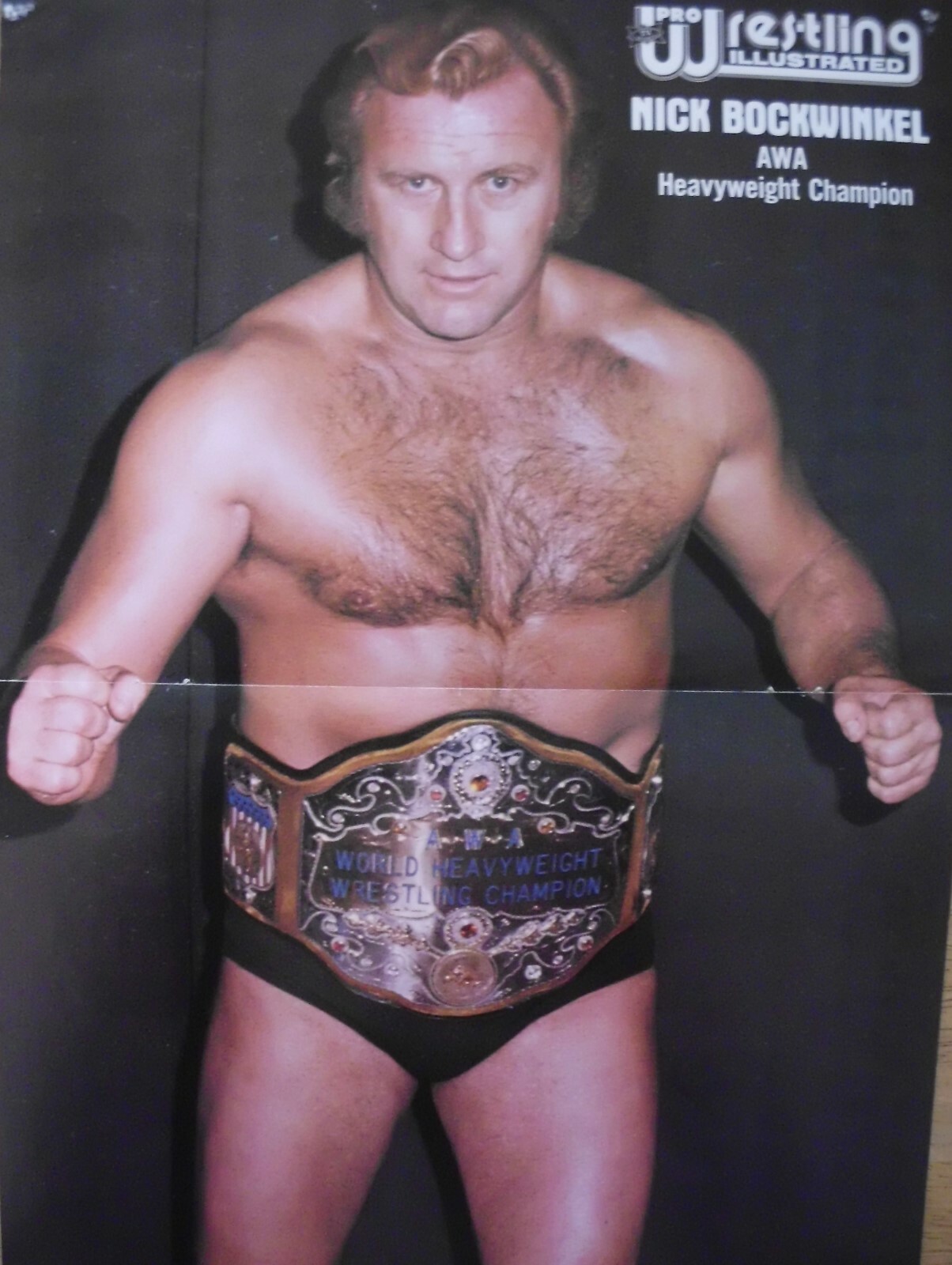 BEST OF NICK BOCKWINKEL VOL 2 PRO WRESTLING DVD (W-931) | eBay