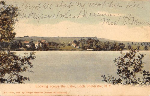 Loch Sheldrake New York Looking Across Lake Antique Postcard K101555 | eBay
