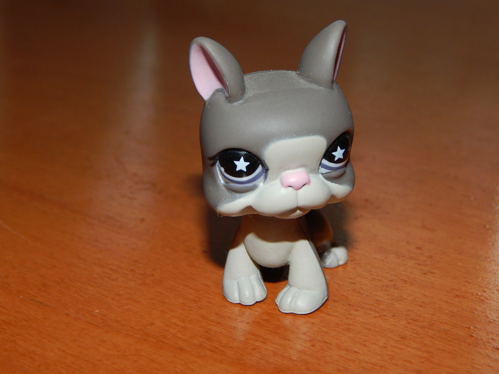 LPS #958 Gray Boston Terrier Pup Purple Star Eyes 2004 Hasbro | eBay