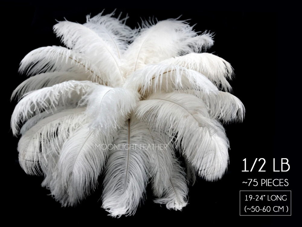 Extra Large Ostrich Feathers Wholesale Bulk Ostrich Feathers For Sale