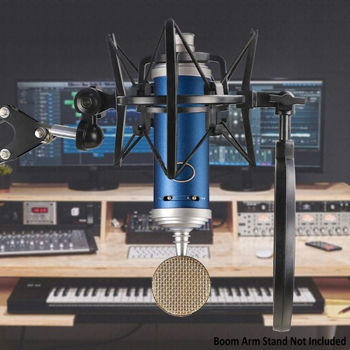 Bluebird Shock Mount And Pop Filter For Large Diaphragm Microphone | eBay