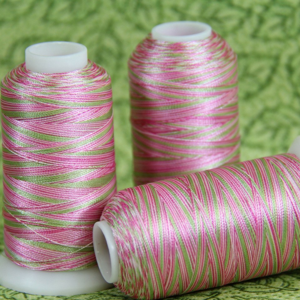 VARIEGATED POLYESTER EMBROIDERY THREAD 1000M SPOOLS 25 COLORS 40 WT ...