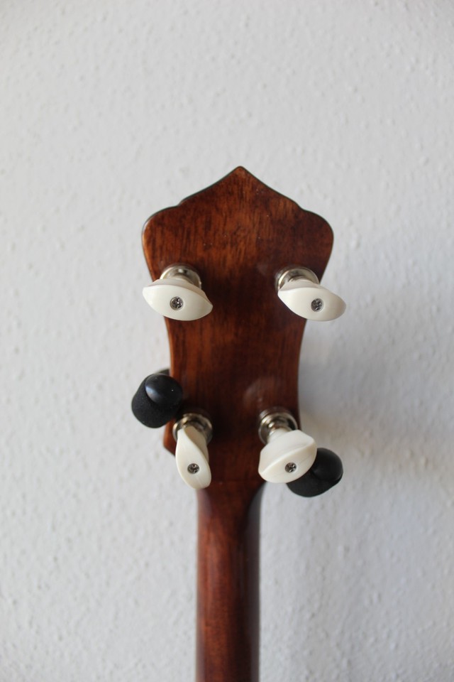 Brand New Recording King RK-R36 Madison Resonator 5 String Banjo with ...