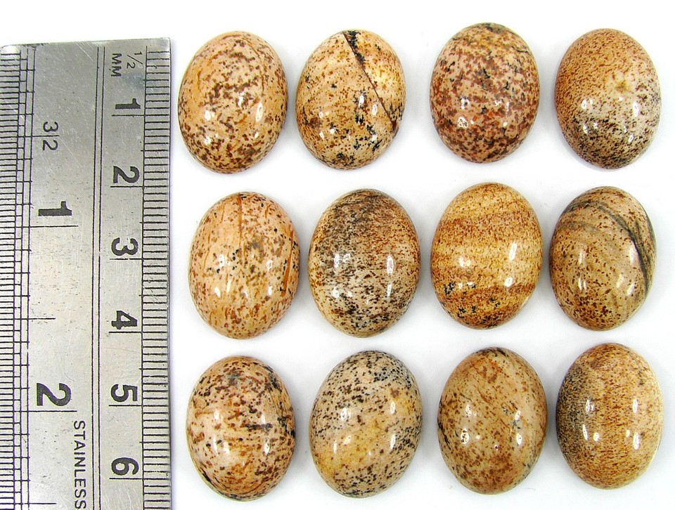 168.75 Ct Natural Picture Jasper Gemstone 15x20 mm Cabochon 12 Pcs Lot ...
