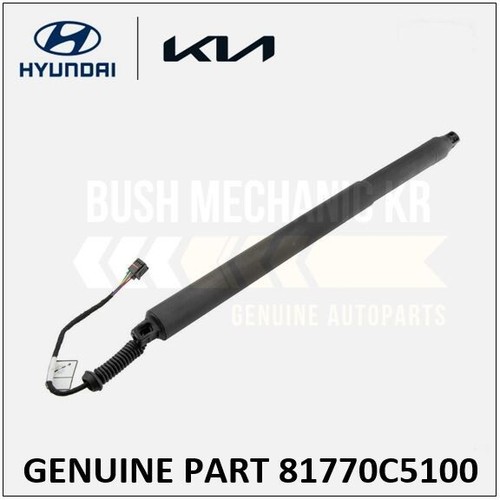 GENUINE OEM Hyundai Kia Lifter Assy Power Tail Gate LH 81770C5100 ...