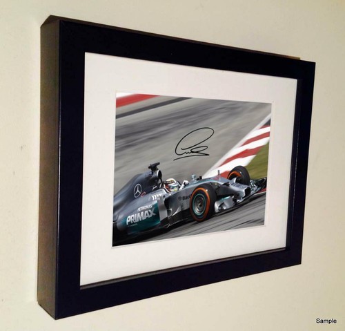 Lewis Hamilton Signed F1 Champ 2014 Photo Photograph Picture Print ...