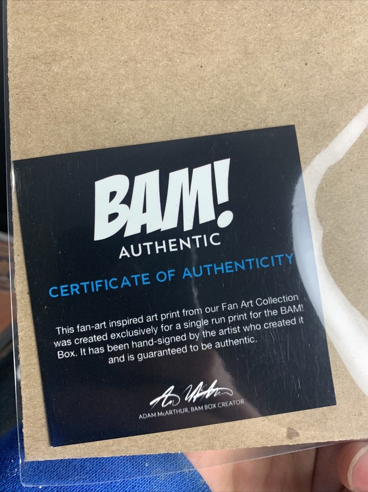 BURGERTIME - BAM! Gamer Box signed Fan Art Print by Peter Peter VARIANT ...