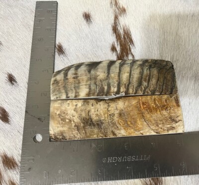 Two 5 inch Black Ram/Sheep horn knife scales/slab 5” Ram Horn Scale ...