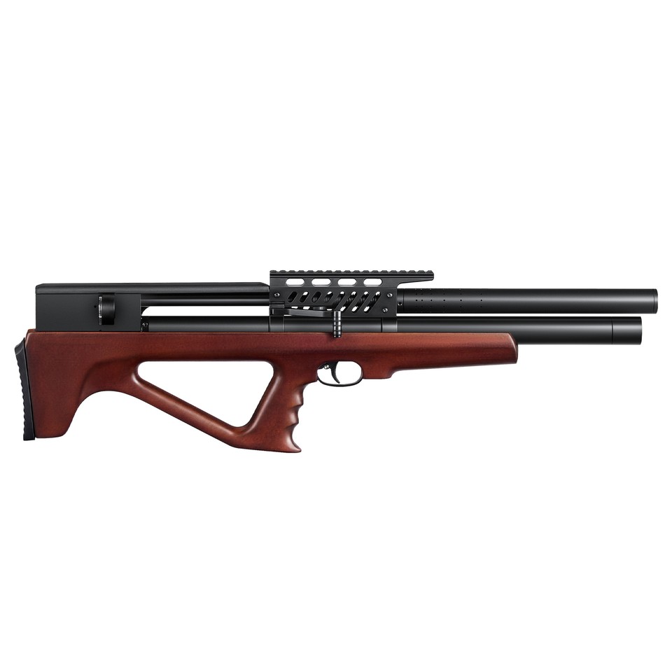 PINTY NEW PCP Pellet Gun 800 FPS Air Rifle .22 Caliber 9 Pellet Air ...