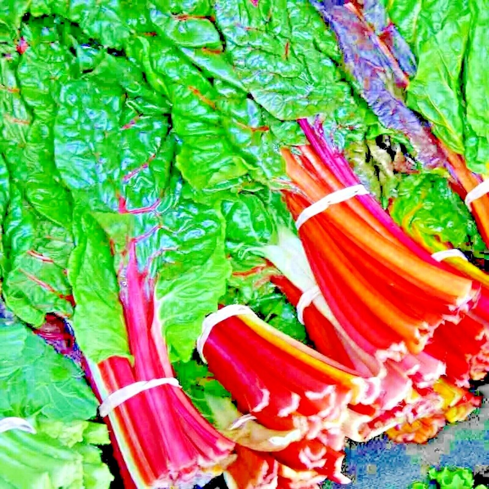 🥬200+ BRIGHT LIGHTS RAINBOW SWISS CHARD SEEDS | HEIRLOOM NON-GMO | FREE ...