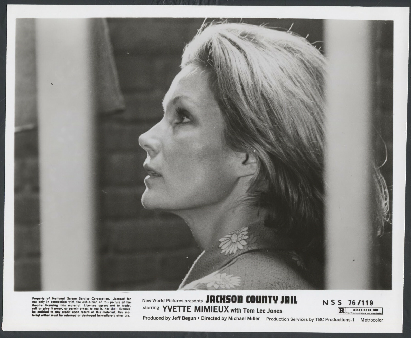 YVETTE MIMIEUX in @Col Jackson County Jail '76 BARS JAIL | eBay UK
