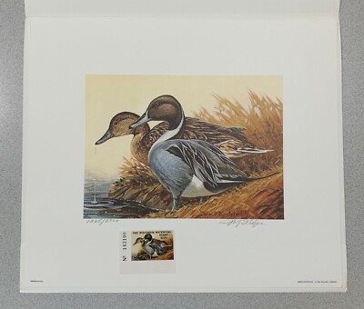 1982 WISCONSIN - State Duck Stamp Print **WILLIAM KOELPIN** with Stamp ...