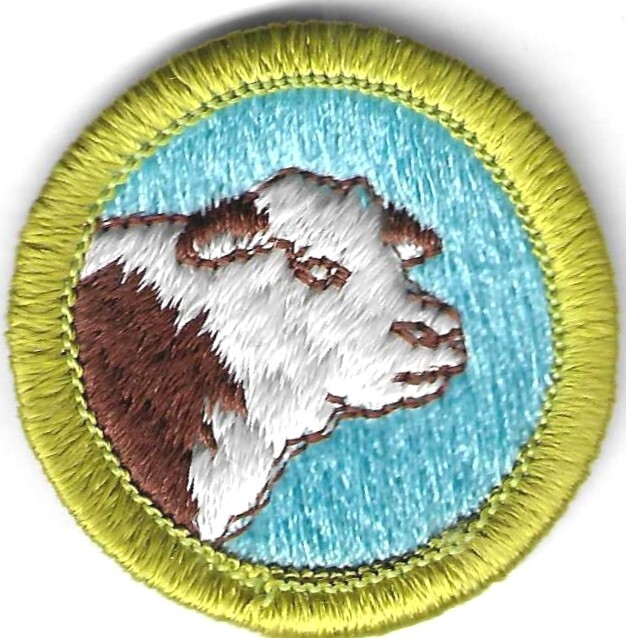 BSA ANIMAL SCIENCE MERIT BADGE CURRENT DESIGN TYPE H PLASTIC BACK #2 ...