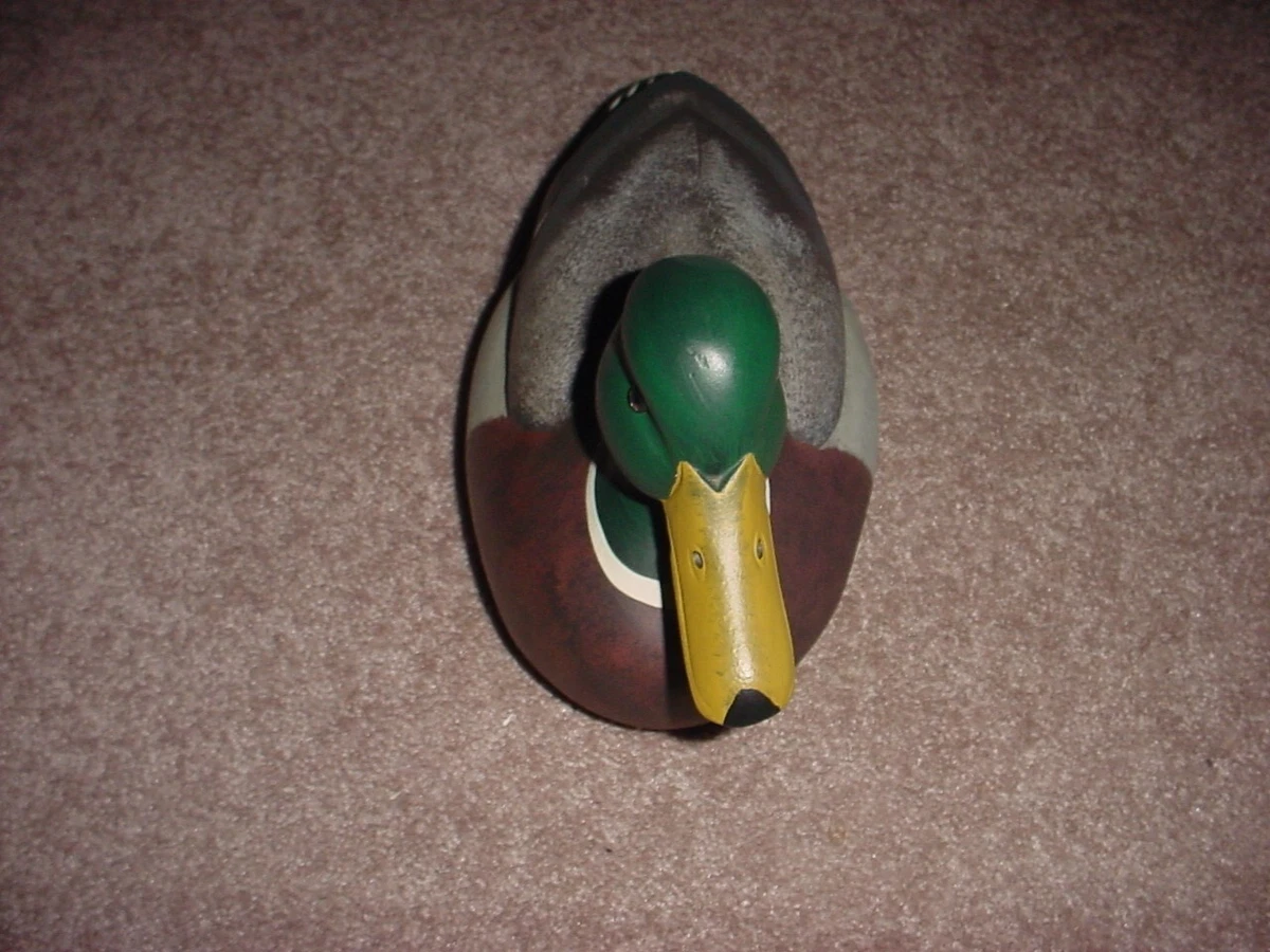 Avon Duck Collection