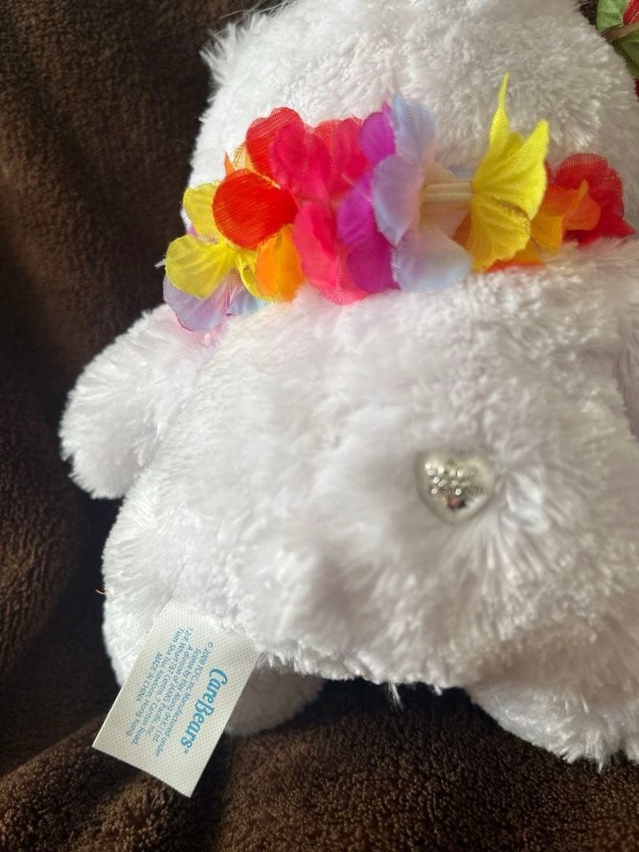 Hawaiian Care Bear Plush Toy 2008 Retro White Rainbow Harness Used 66g ...