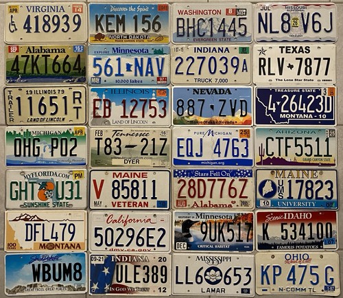 License Plate Lot 1979-2022- 28 plates, Bulk, Mixed States, Craft ...