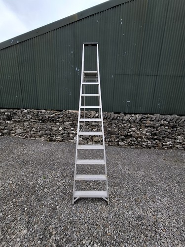 10 tread Step Ladder With Working Platform. BS EN131. KM28981 | eBay UK