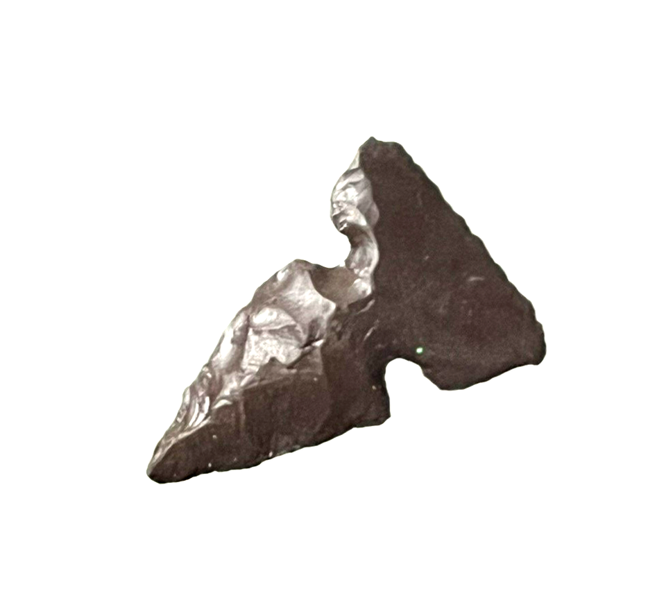 BEAUTIFUL OREGON JASPER DESERT DELTA POINT ARROWHEAD AUTHENTIC ARTIFACT ...