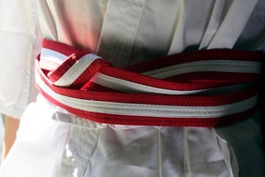 Red White Martial arts belt | eBay