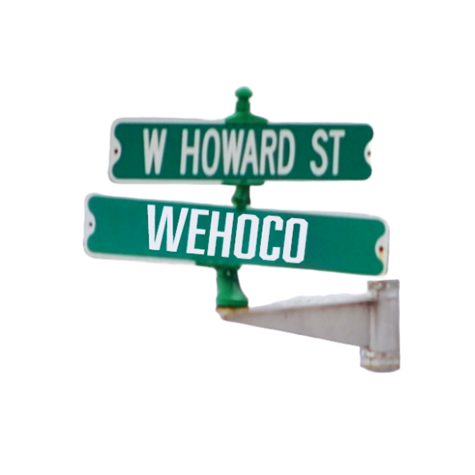 Mature Minnesota Ruffed Grouse Feathers Tail Fan Gray Color Phase | eBay