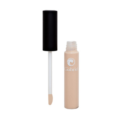 Gabriel Concealer | eBay